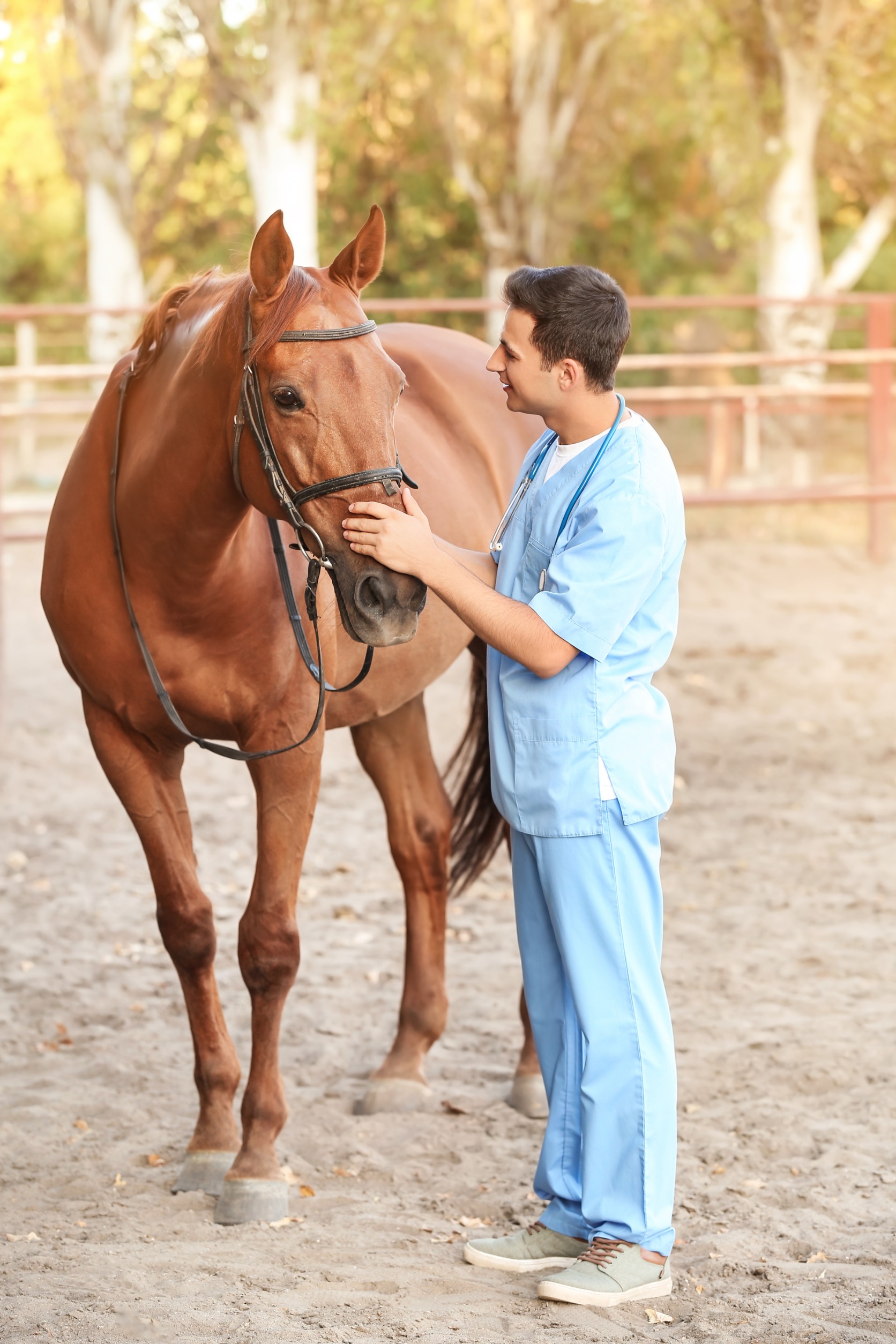 PHC Equine Pharmacy